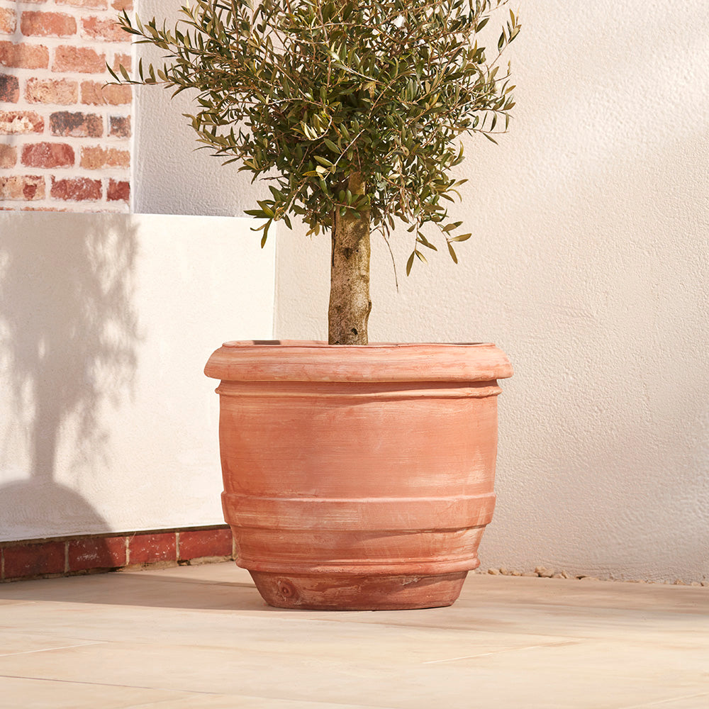 Choosing pots for your space | Gardenesque