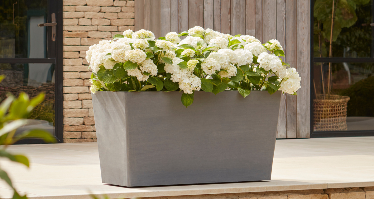 Extra-Large Outdoor Plant Pots from 90cm + | Gardenesque UK