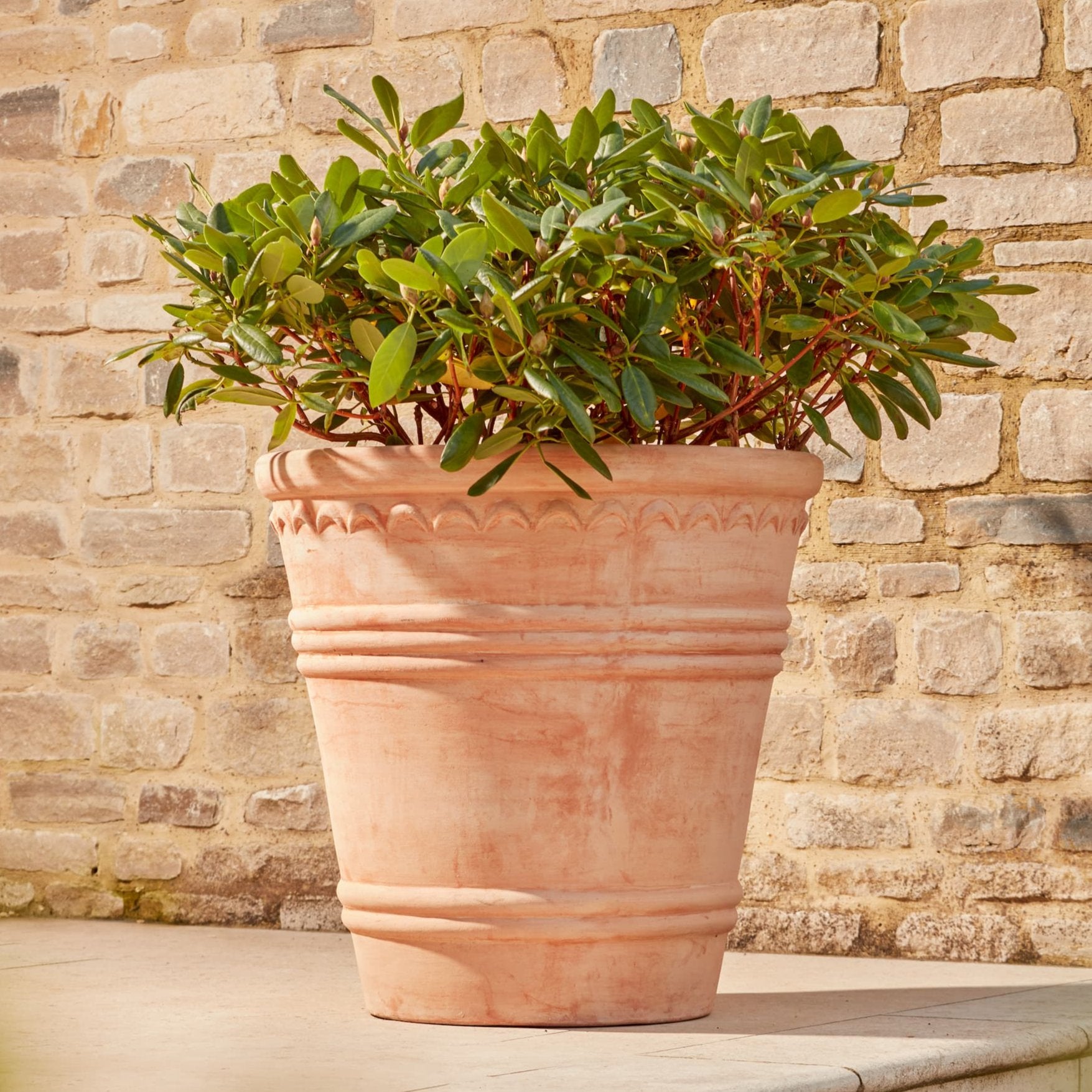 Amara Terracotta Pot | Handcrafted Sustainable Planter – Gardenesque