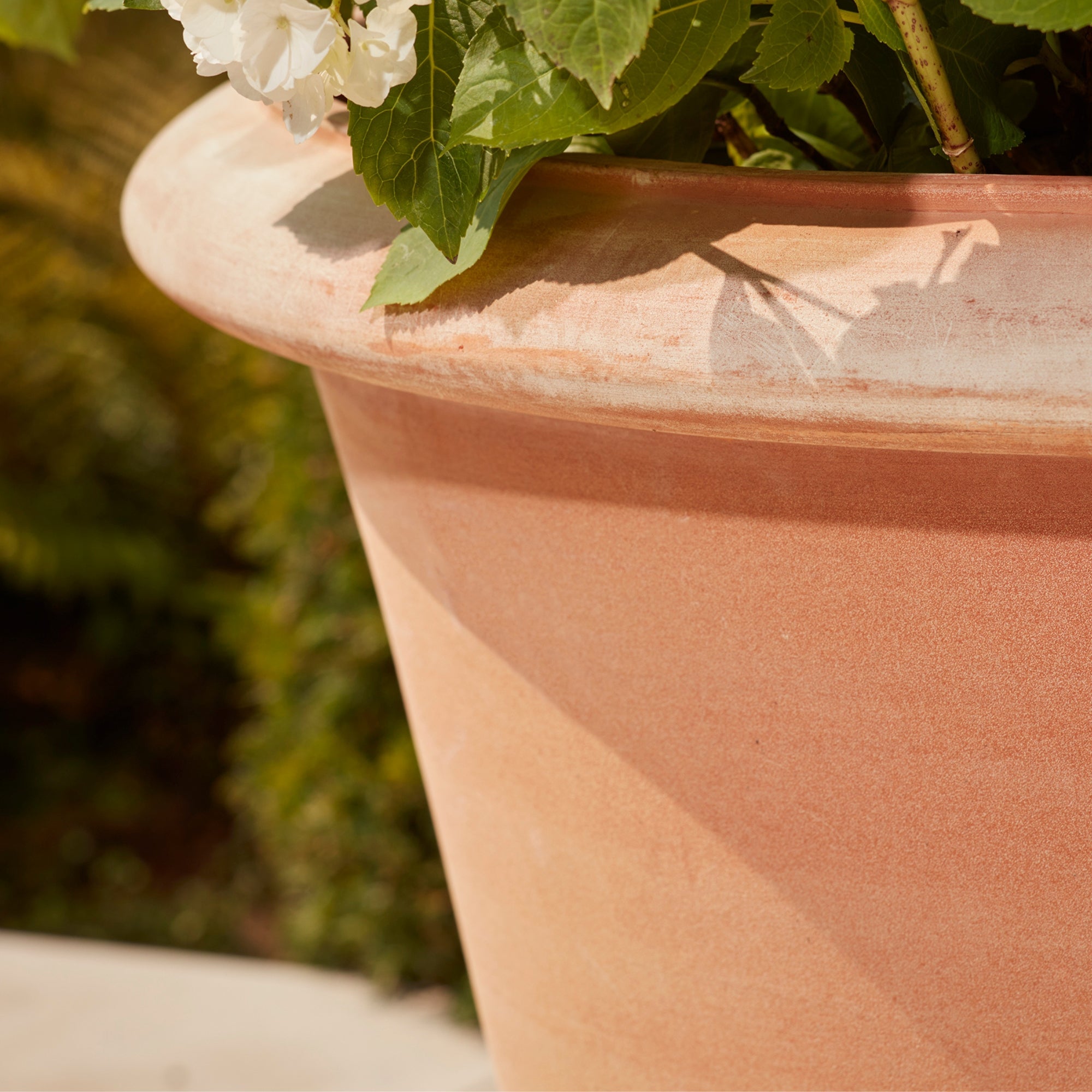 Clayton Terracotta Planter | Classic Handcrafted Outdoor Pot | Gardenesque