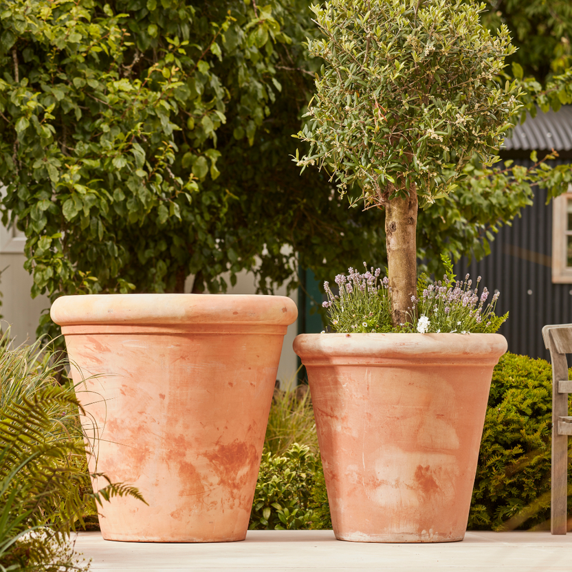 Large Terracotta Pots | The Clayton Planter Collection | Gardenesque