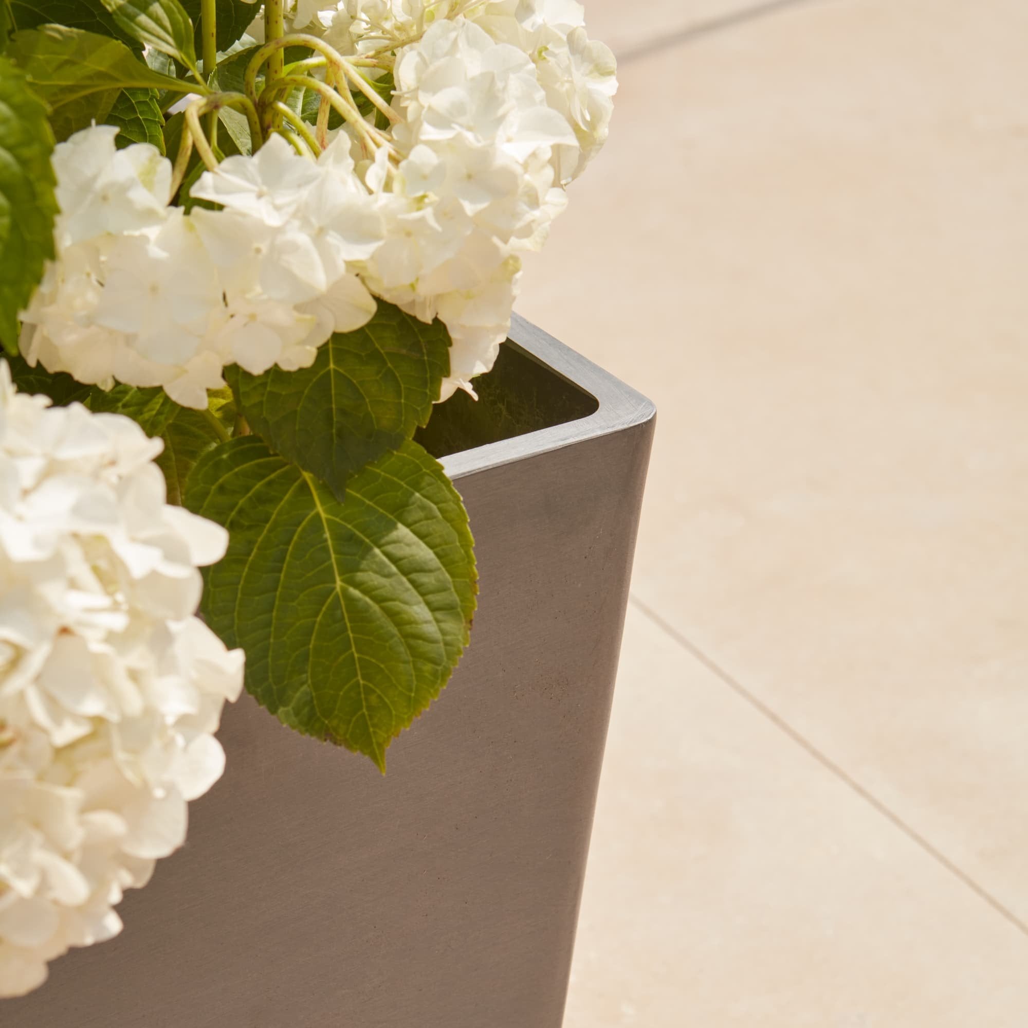 Gardenesque x EcoPots | Large Wheeled Plant Pots