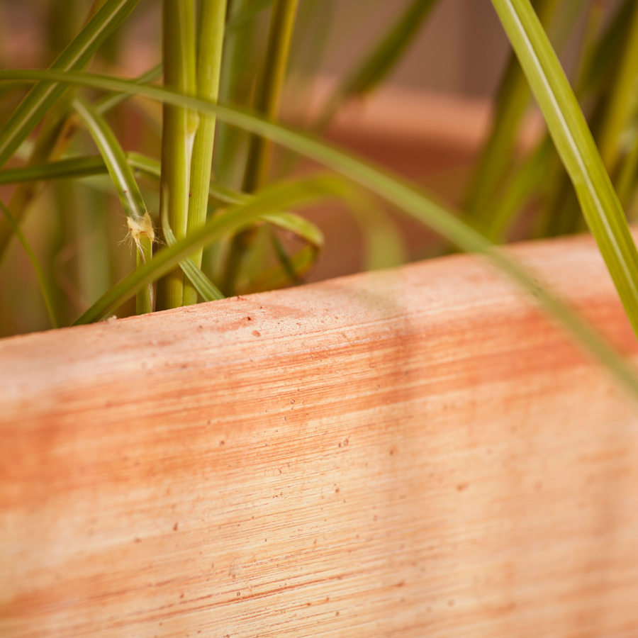 Sardinia Tall | Italian Terracotta Plant Pot – Gardenesque
