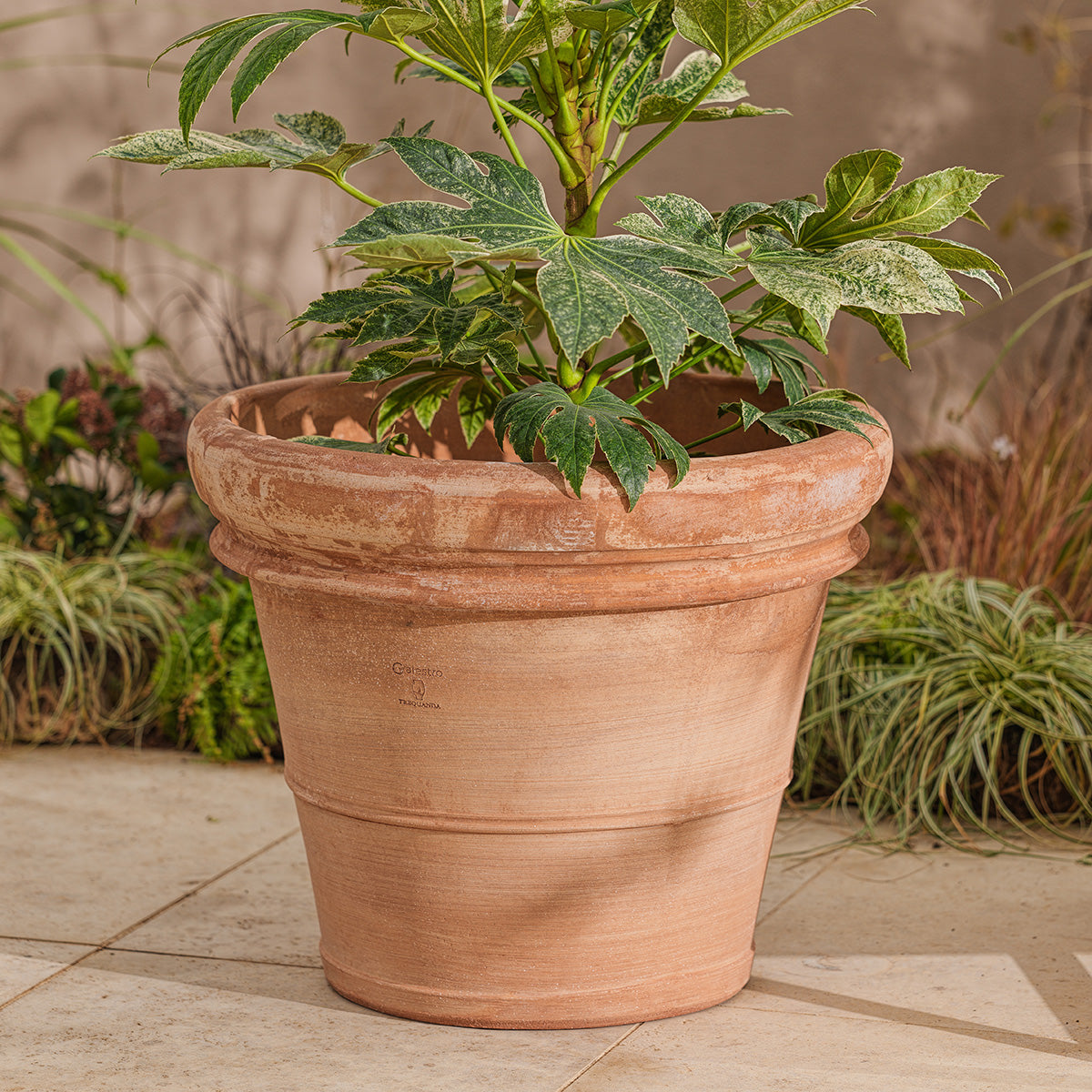 Venice Large Italian Terracotta Pot | Frostproof Planter – Gardenesque
