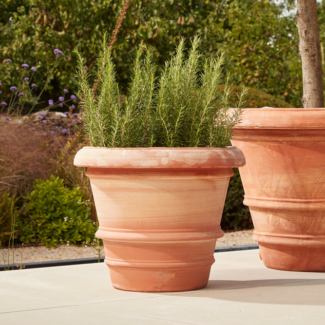 Verona Extra Large Terracotta Pots | Handmade & Frostproof | Gardenesque