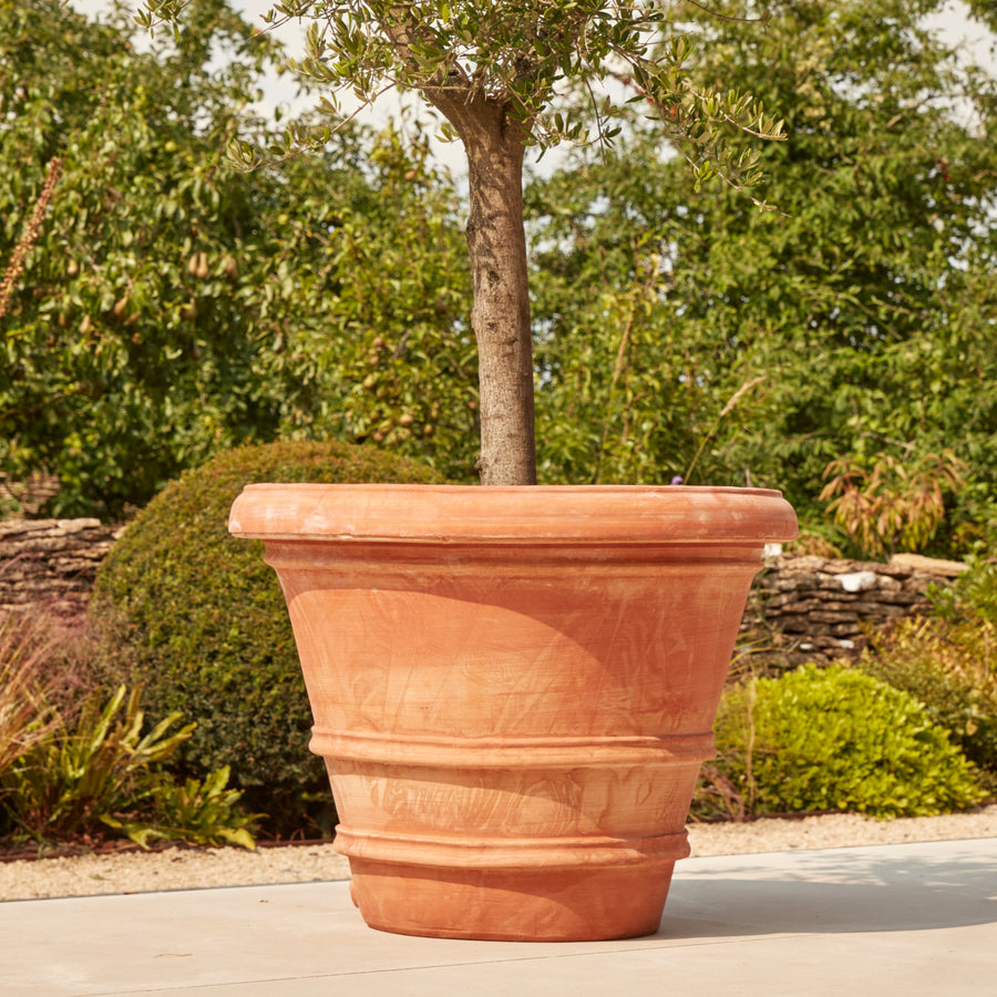 Verona Extra Large Terracotta Pots | Handmade & Frostproof – Gardenesque