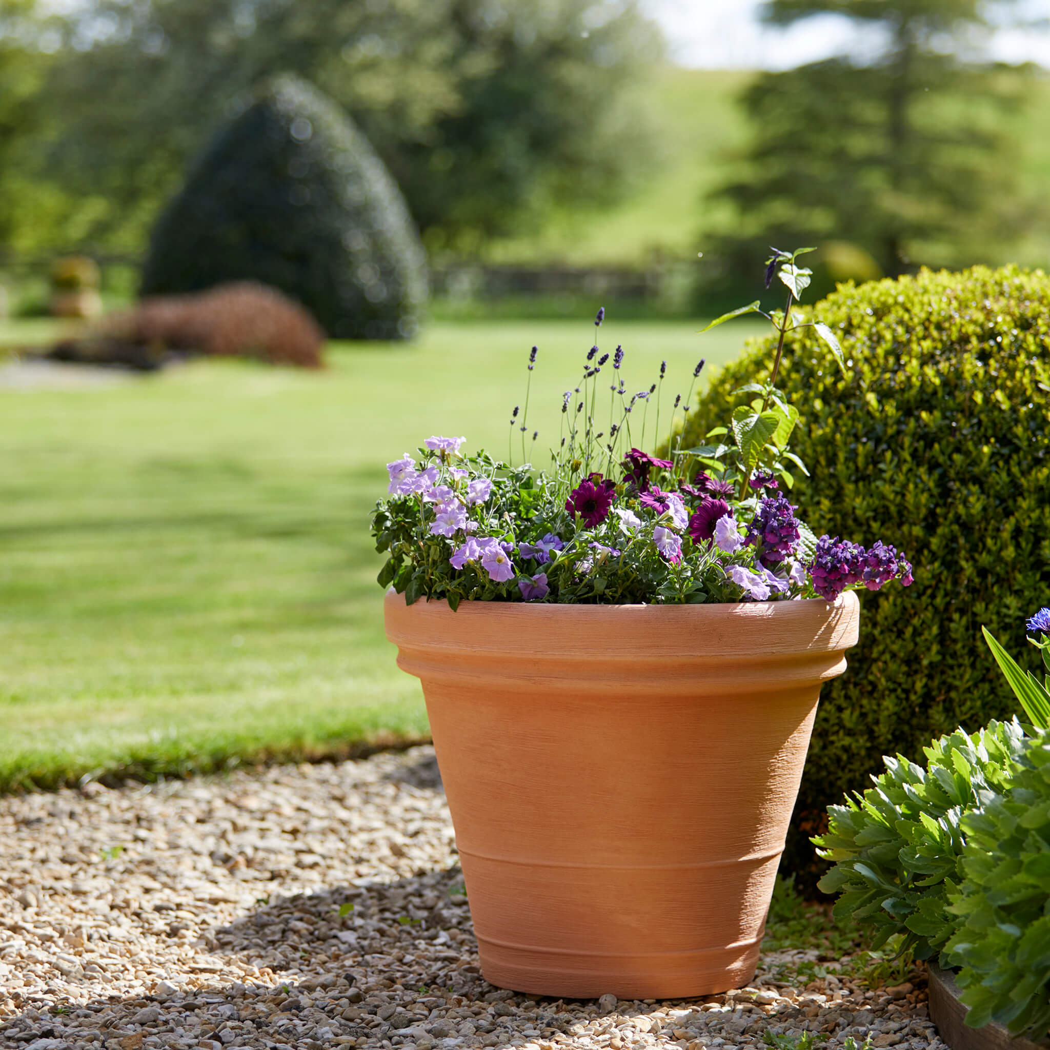 Giant Plastic Garden Planters | Fasci Garden